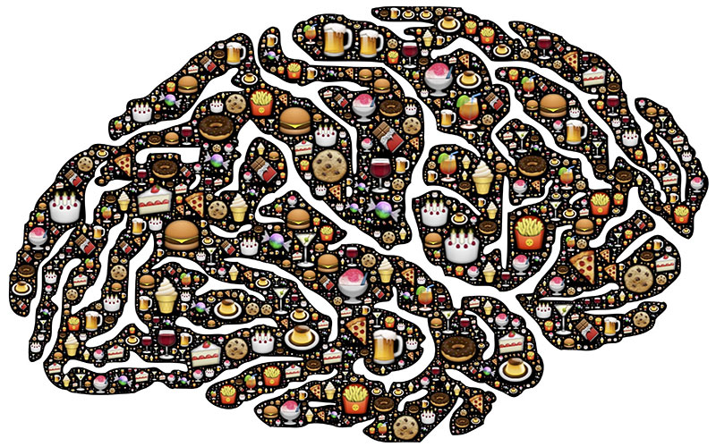My Favourite Brain Food Chocolate 